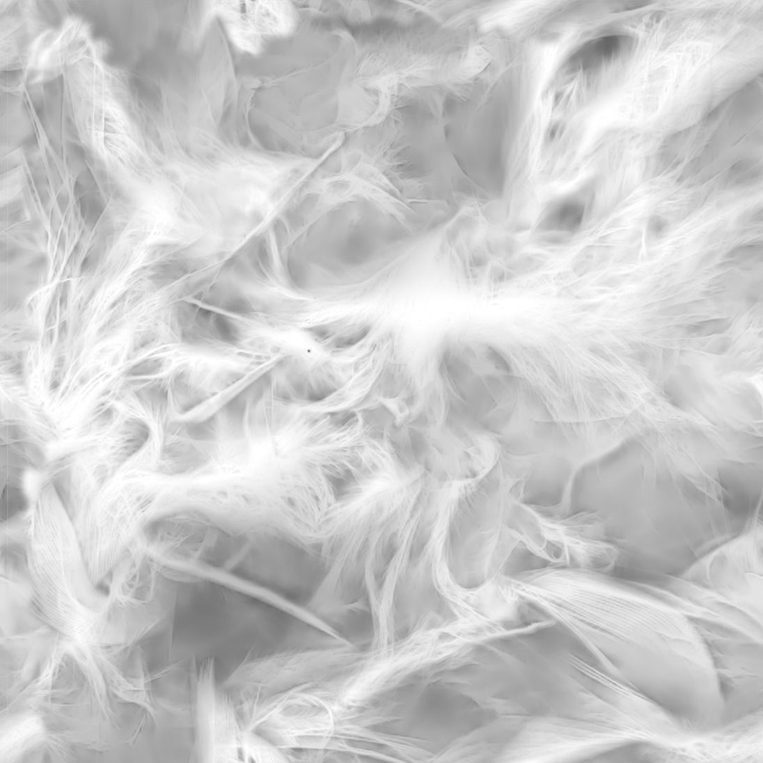 feather PBR material free VR / AR / low-poly 3D model | CGTrader