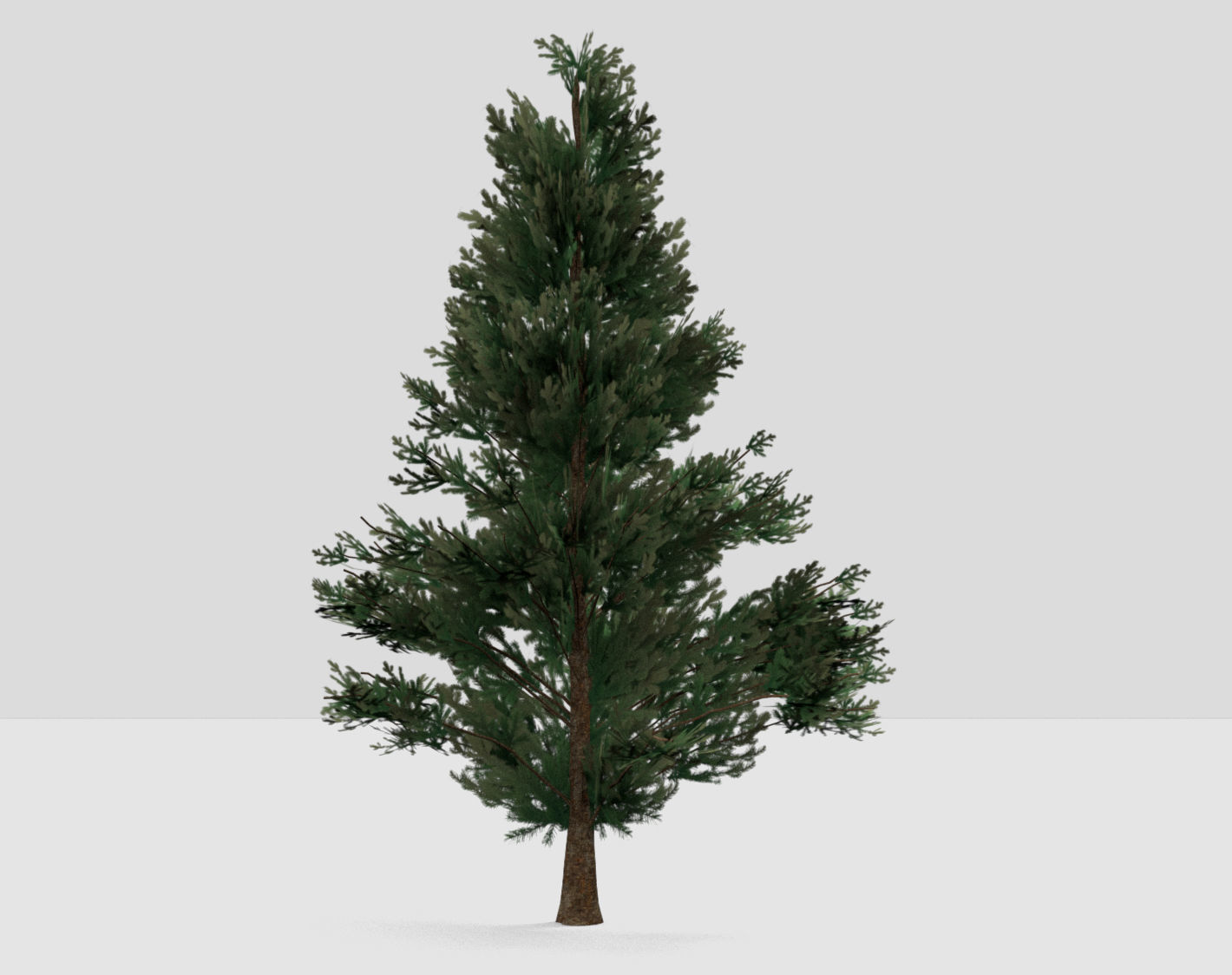 Plants and trees 3D Model Collection | CGTrader