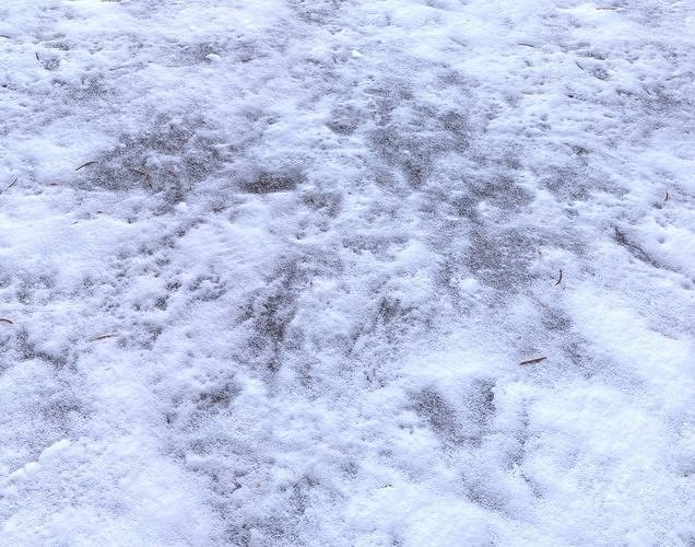 Snow terrain PBR pack 4 Texture | CGTrader