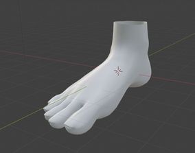 Rigged Feet 3D Models | CGTrader