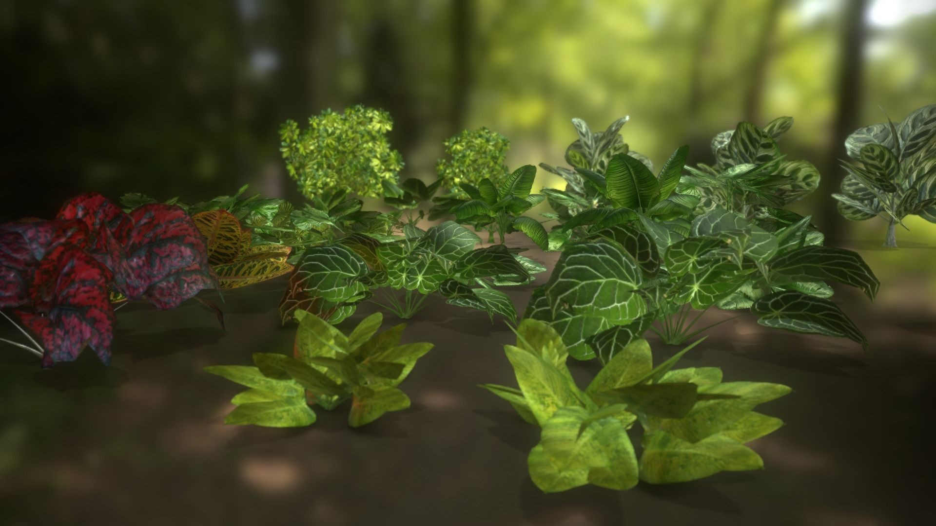 3D model Tropical Vegetation Pack 01 VR / AR / low-poly | CGTrader