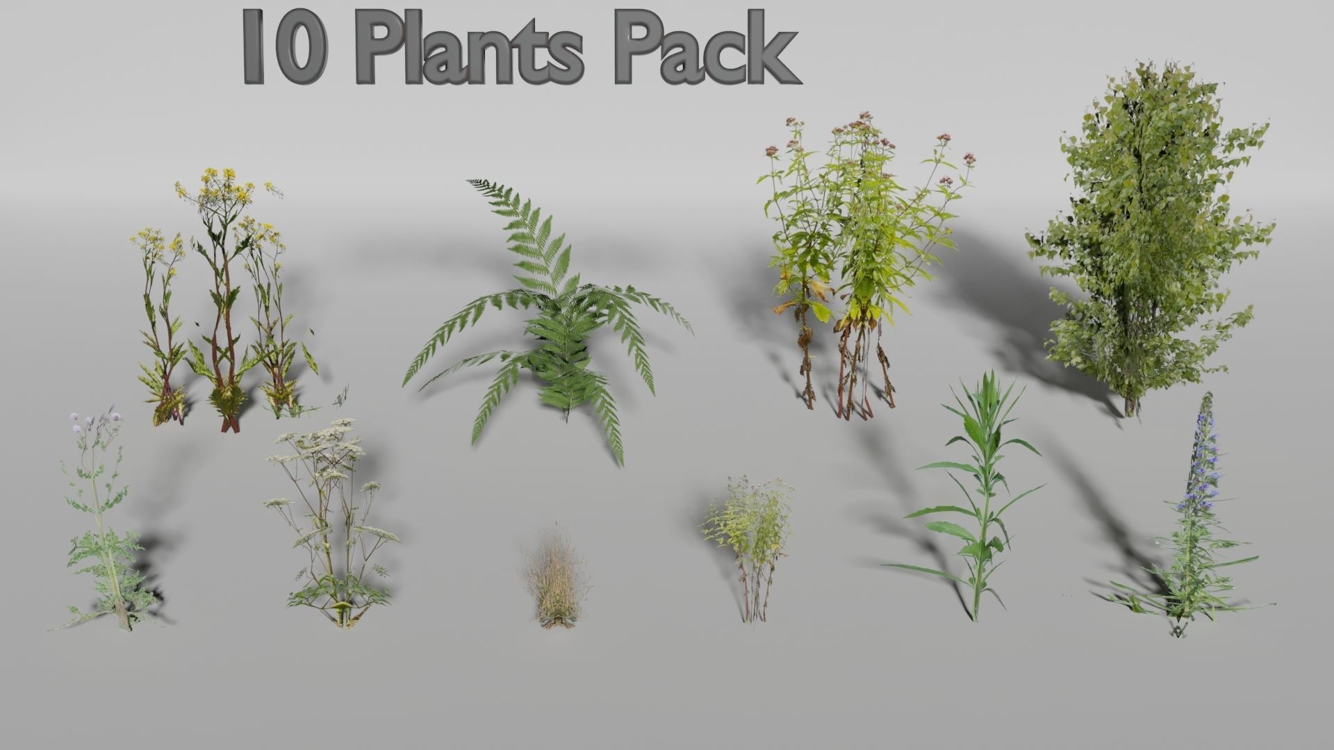 3D asset Plants Pack | CGTrader