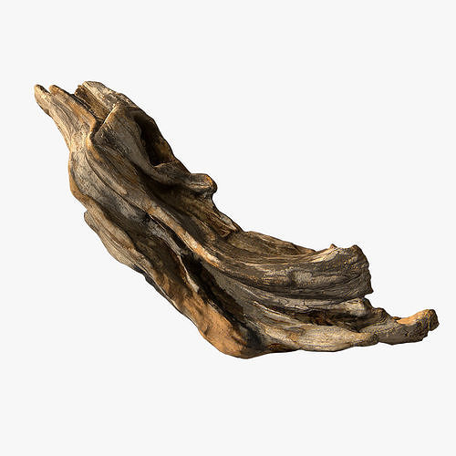 3D model Wooden Snag VR / AR / low-poly | CGTrader