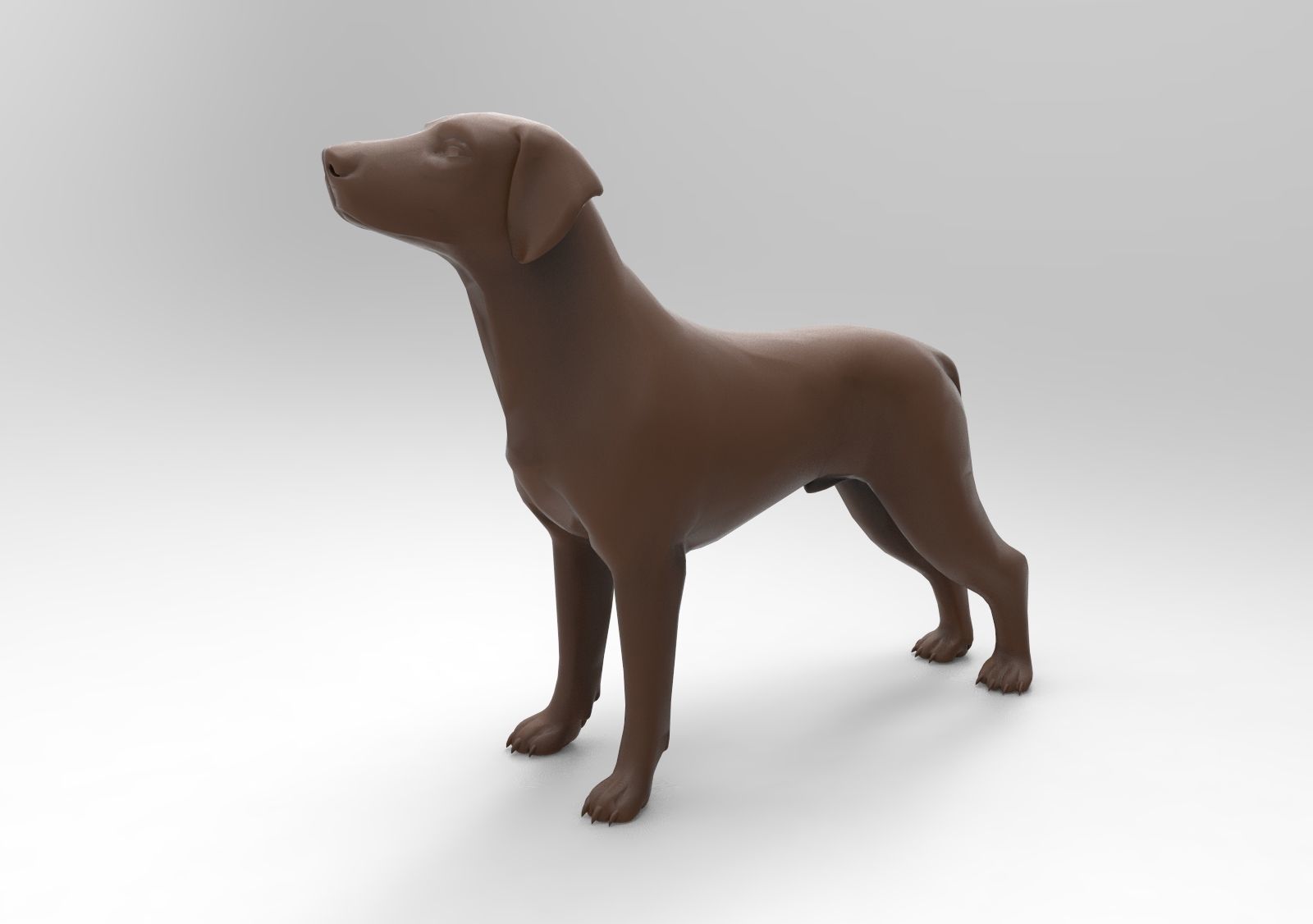 dog labrador 3D model 3D printable | CGTrader