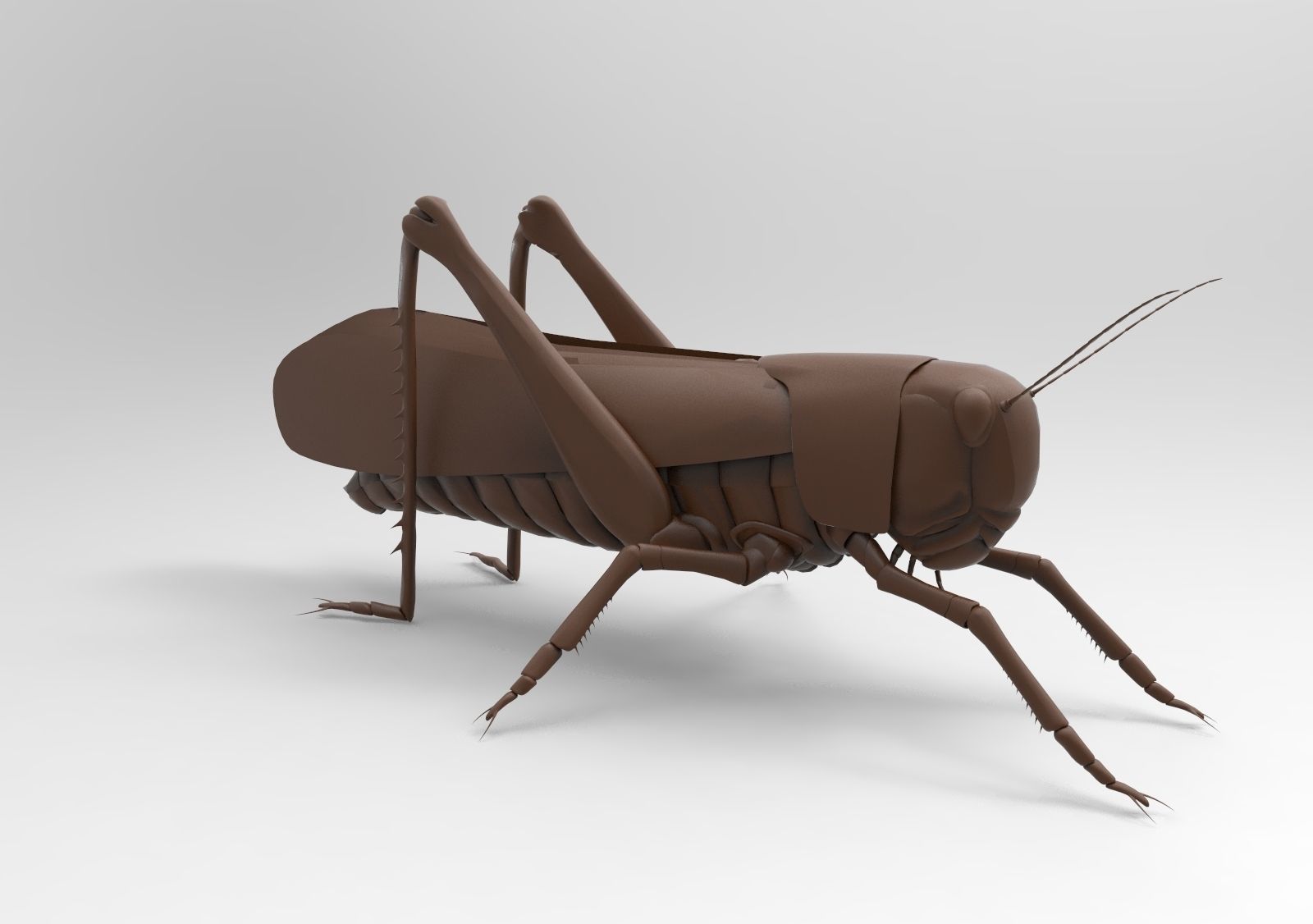 Grasshopper 3D model 3D printable | CGTrader