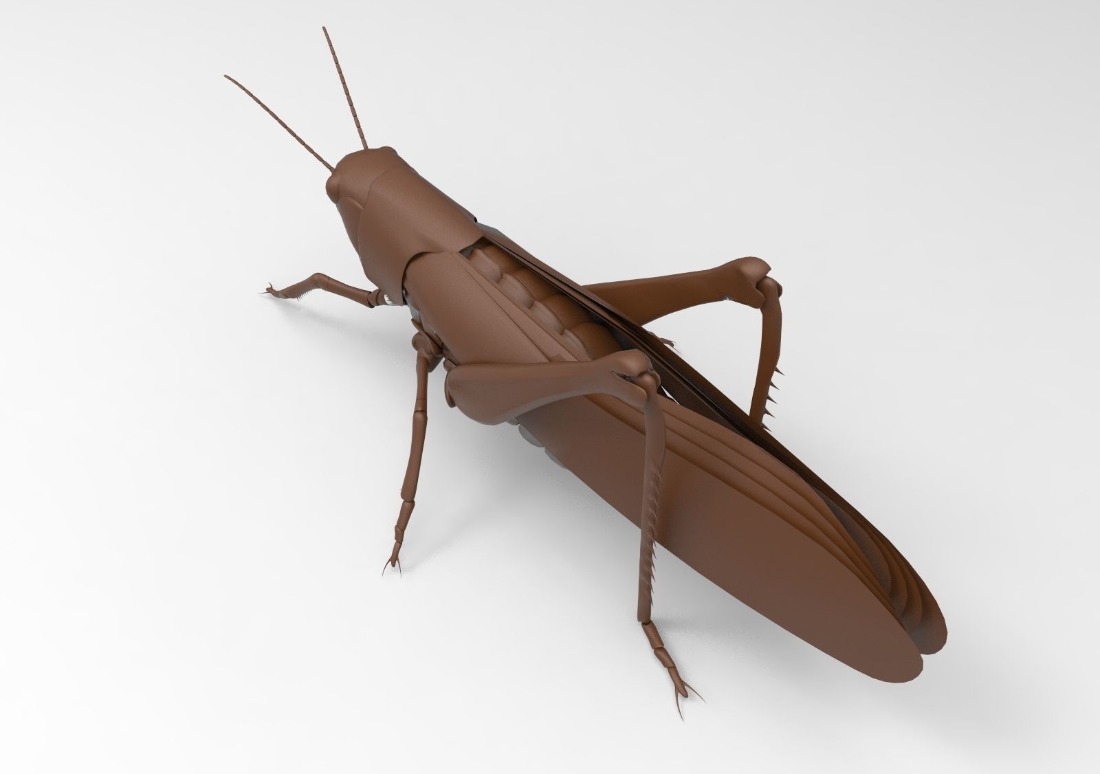 Grasshopper 3D model 3D printable | CGTrader