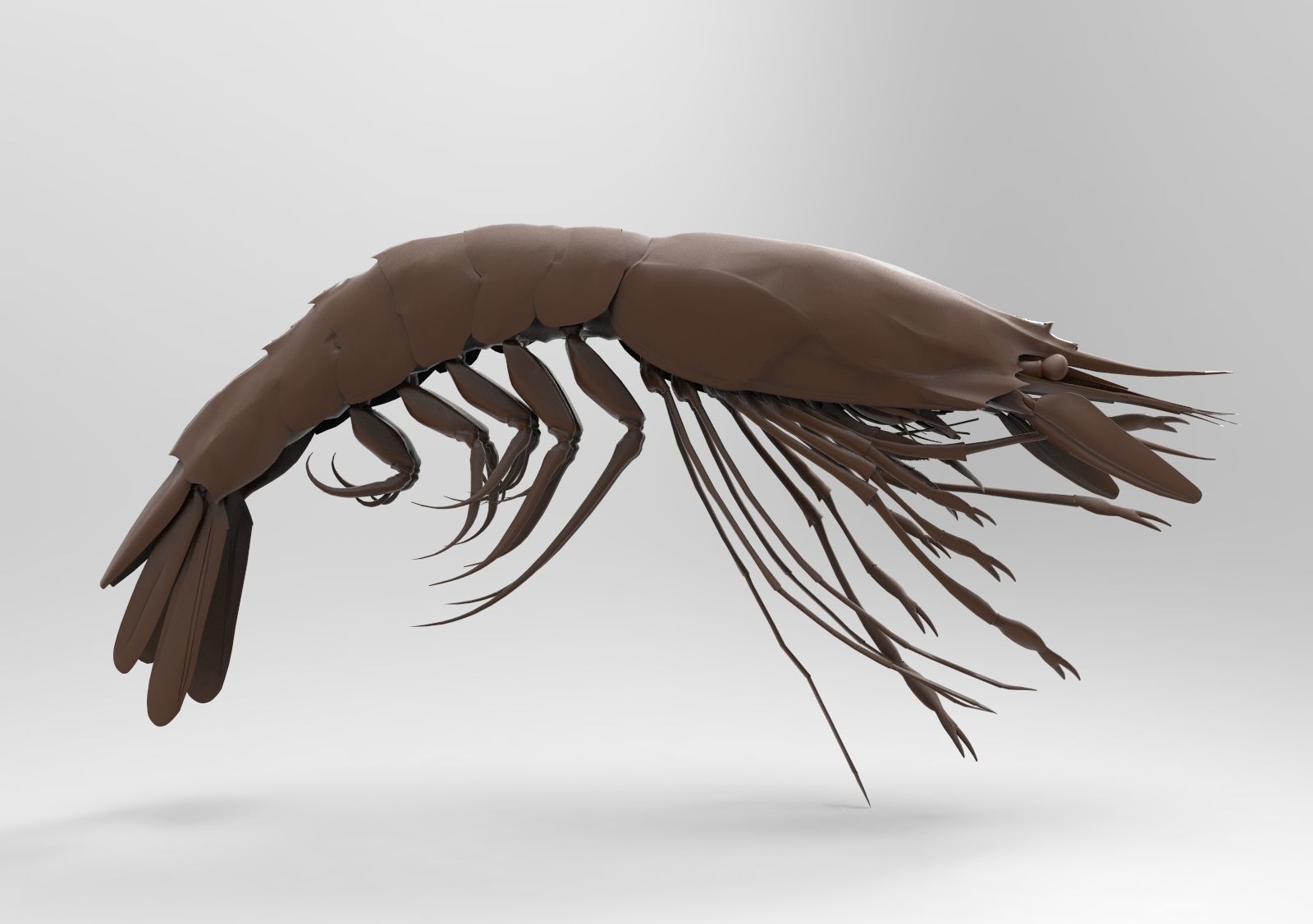 shrimp 3D model 3D printable | CGTrader