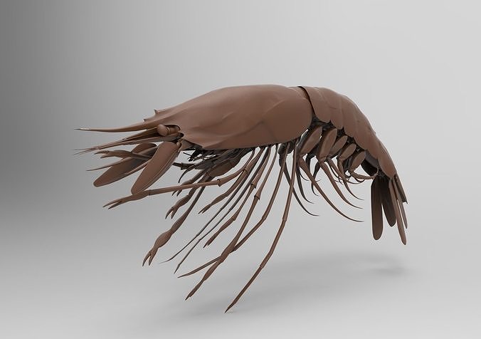 shrimp 3D model 3D printable | CGTrader