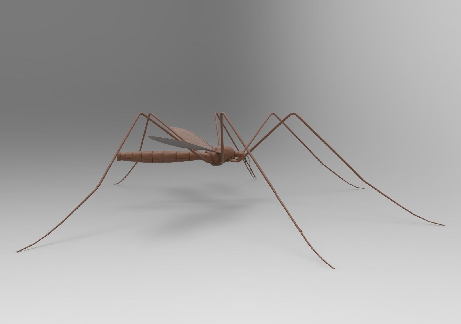 Mosquito 3D model 3D printable | CGTrader