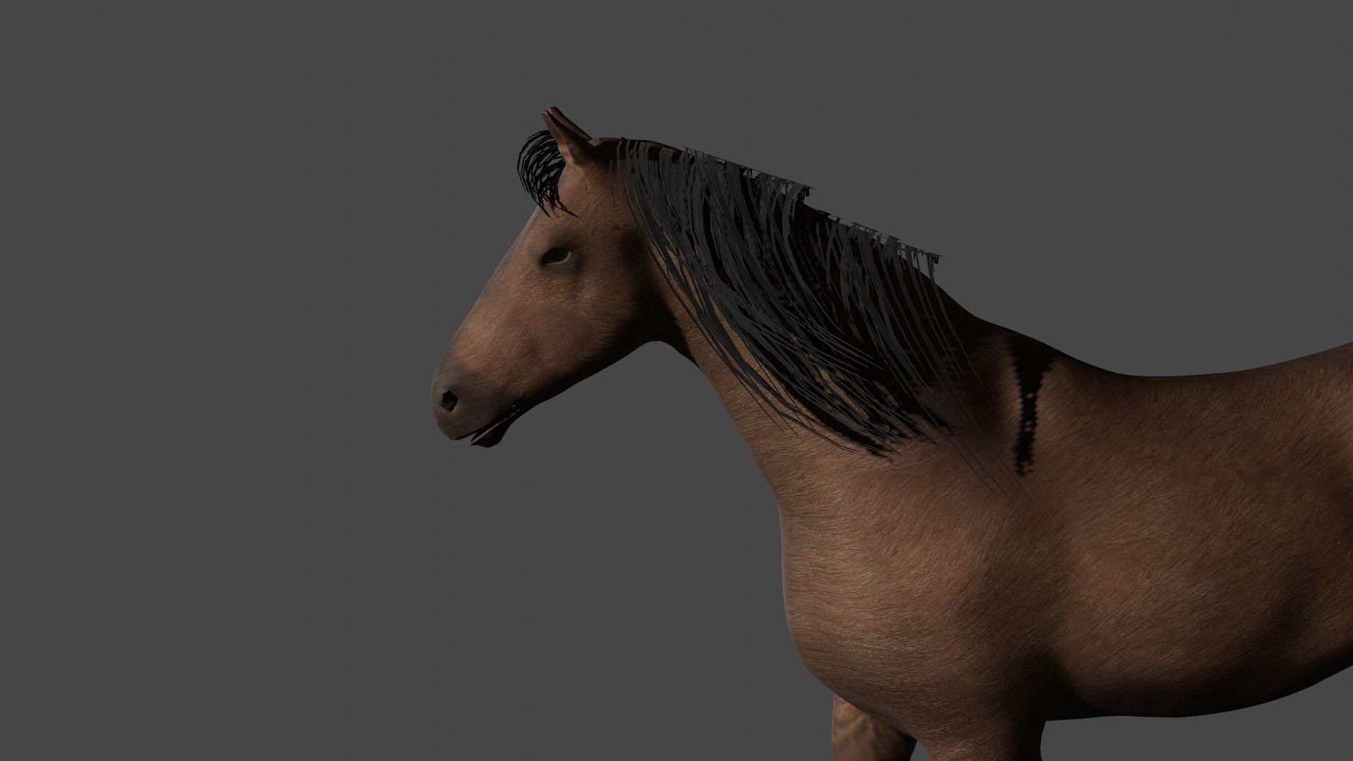 horse running free 3D model animated | CGTrader