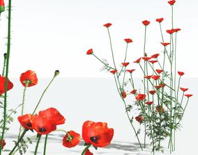Poppy 3D Models | CGTrader