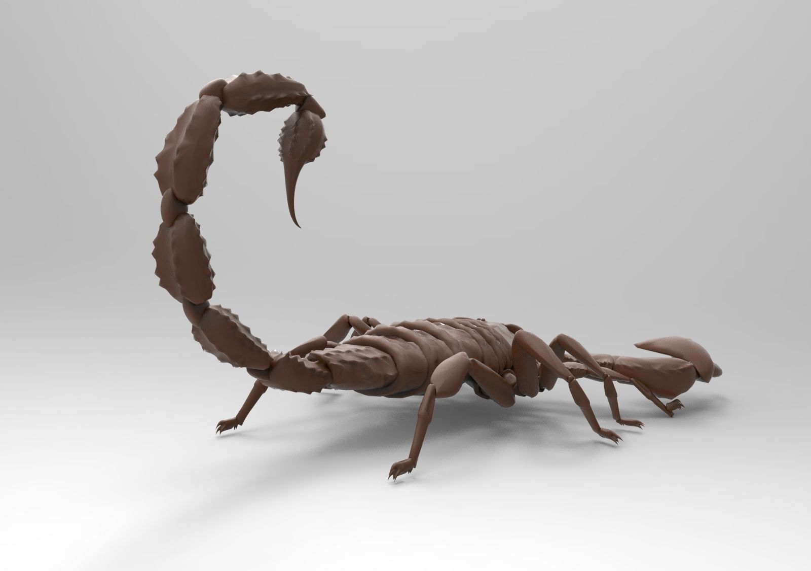 Scorpion 3D model 3D printable | CGTrader