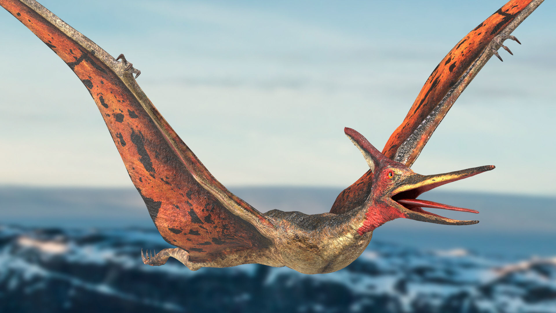 3D model Pteranodon Rigged Animated 3D model VR / AR / low-poly | CGTrader