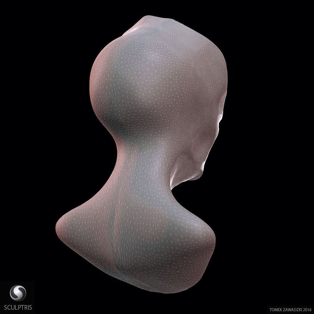 Alien Head Sculpt 3D model | CGTrader