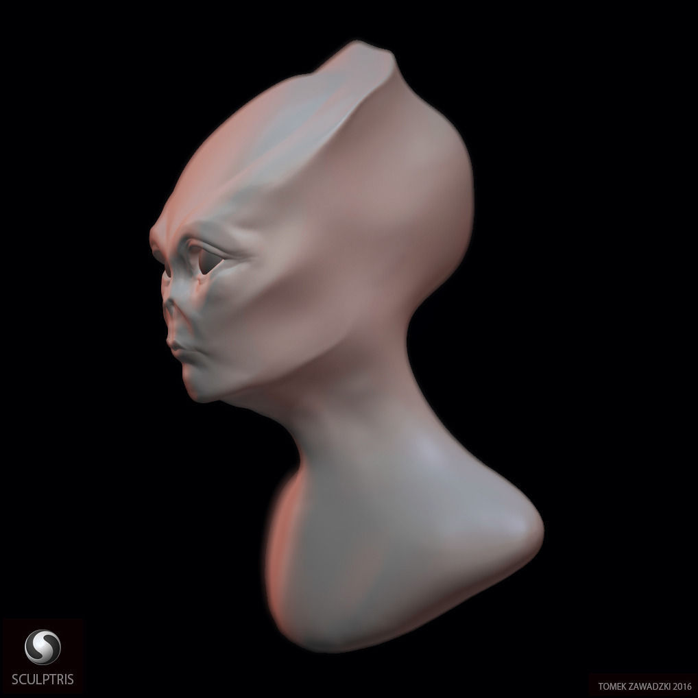 Alien Head Sculpt 3D model | CGTrader
