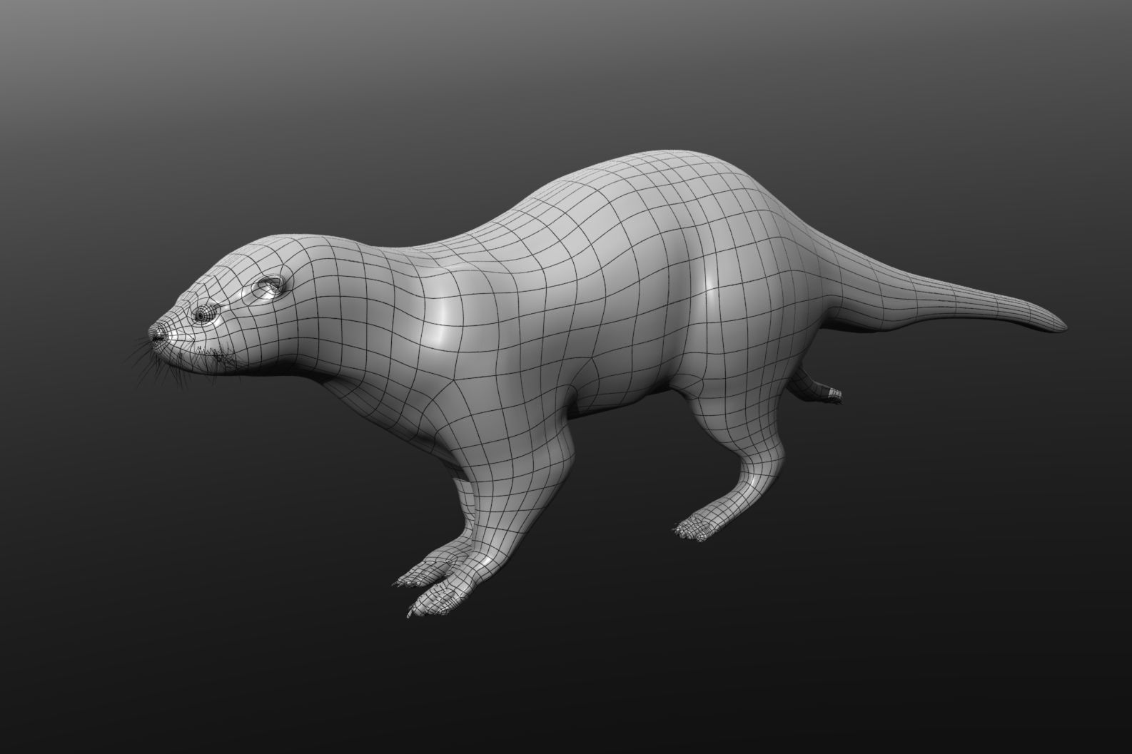 Otter 3D model | CGTrader