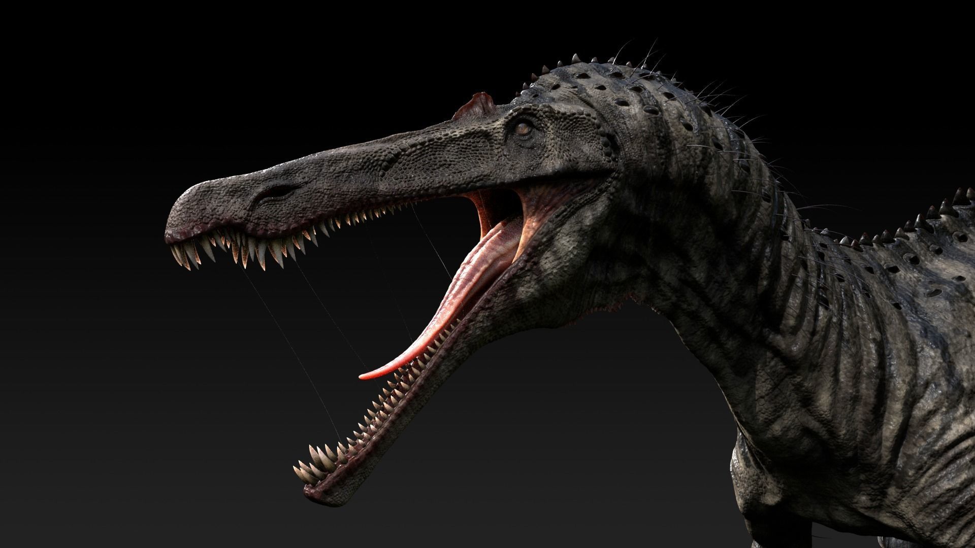 3D model Suchomimus tenerensis VR / AR / low-poly | CGTrader