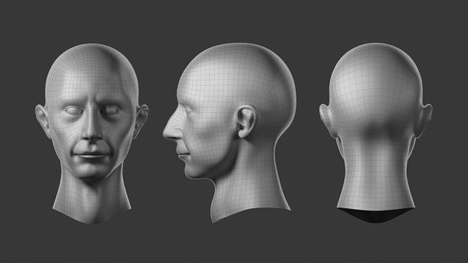Model head 01 free 3D model | CGTrader