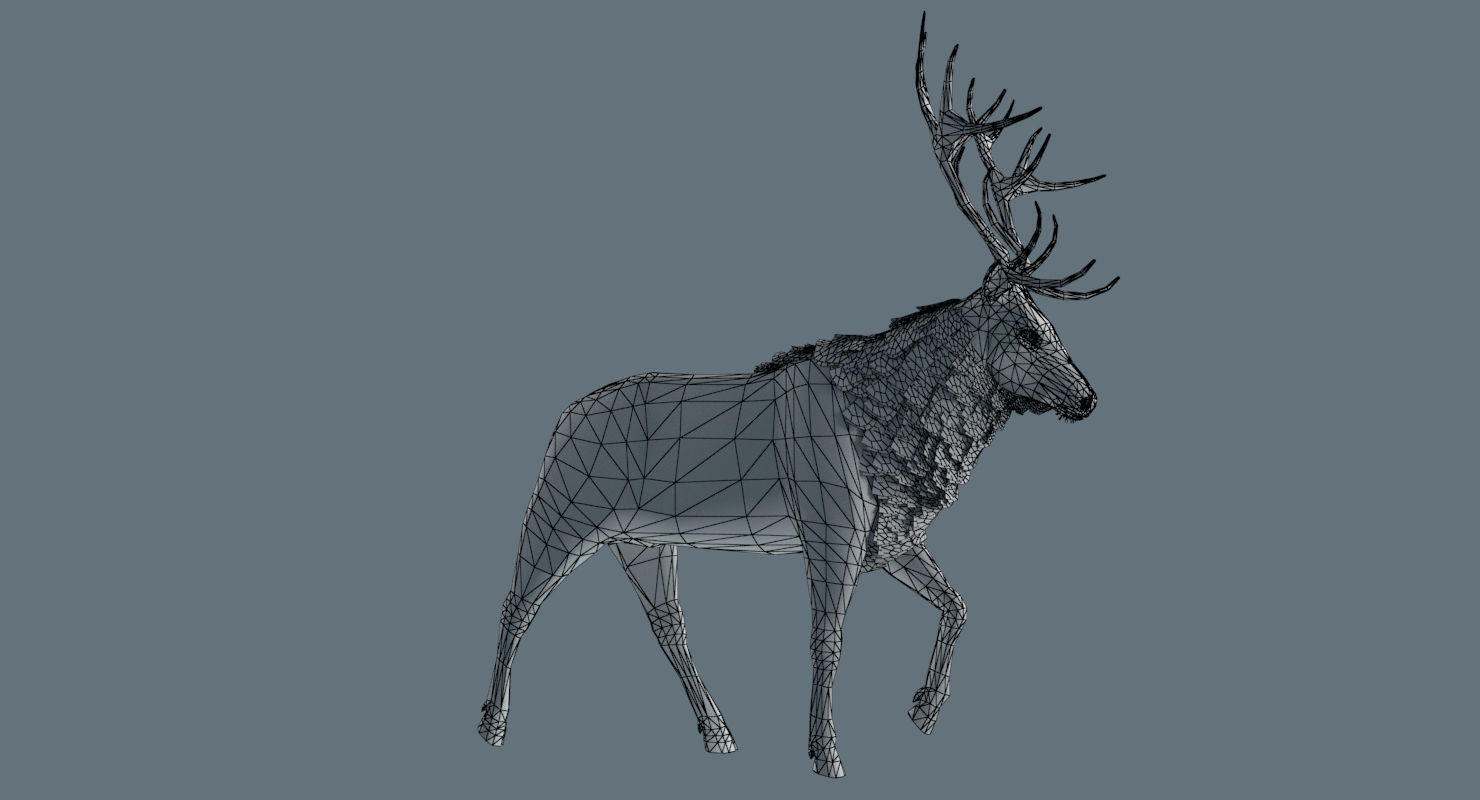 3D model Deer Rig VR / AR / low-poly | CGTrader