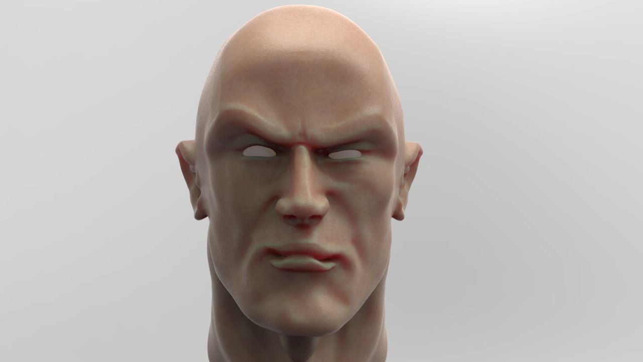 The Rock Bust printable 3D model | CGTrader