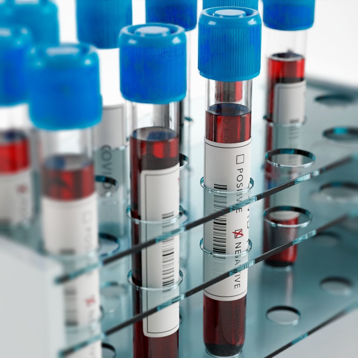 3D model Covid-19 Test Tube Rack VR / AR / low-poly | CGTrader