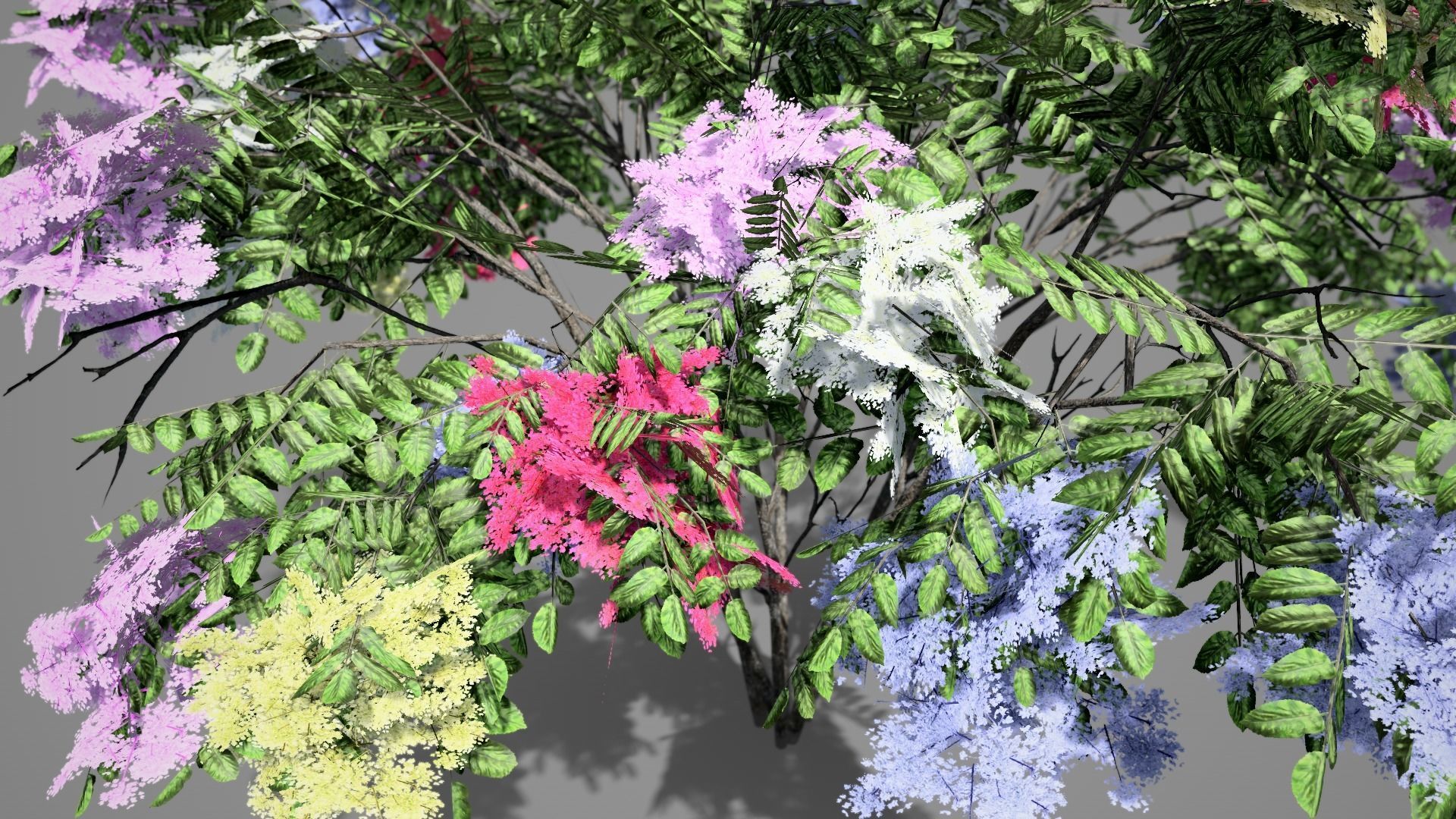 3D model Japanese Angelica Colors Tree VR / AR / low-poly | CGTrader