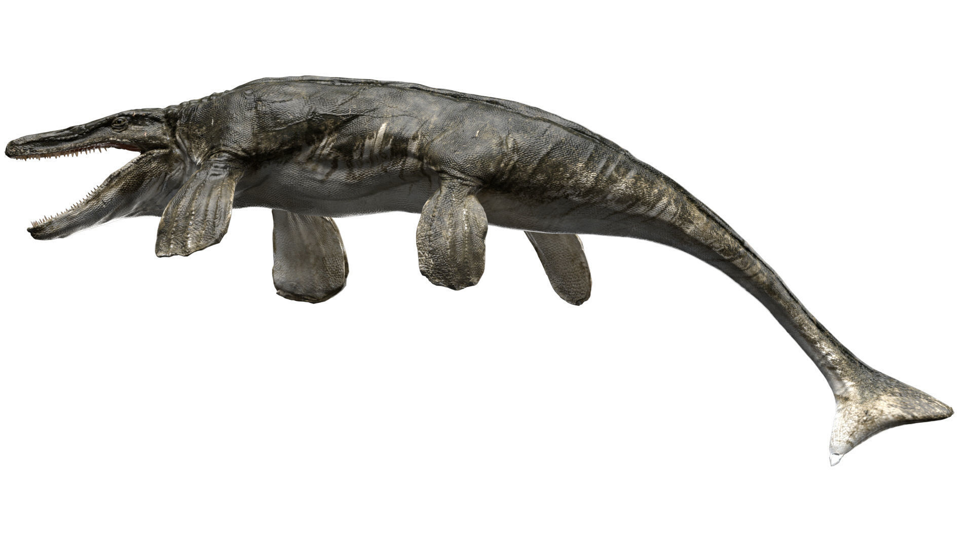 3D model Tylosaurus 3D model Rigged VR / AR / low-poly | CGTrader