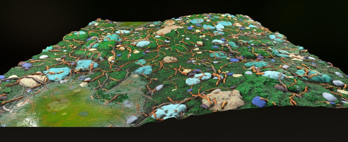 Procedural ground Texture | CGTrader