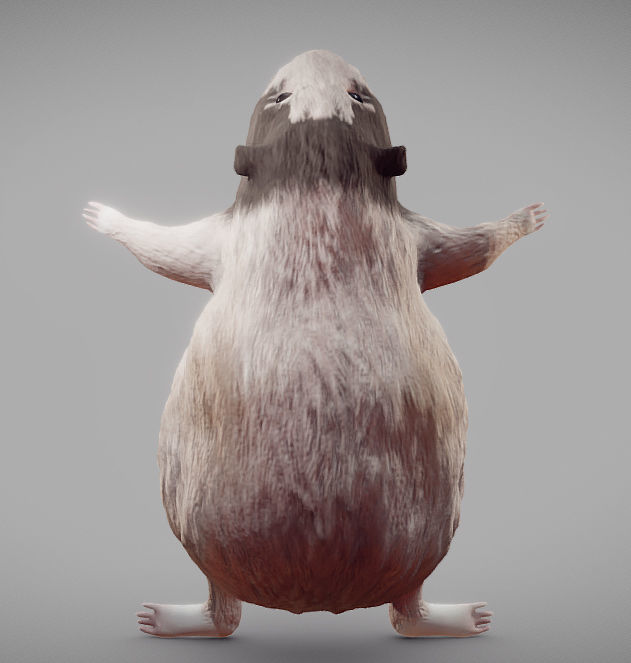 3D model Guinea Pig Internal Anatomy VR / AR / low-poly | CGTrader