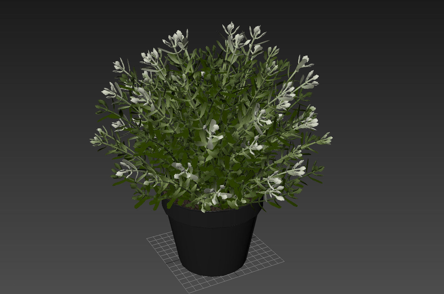 FEJKA Artificial potted plant thyme 3D model | CGTrader