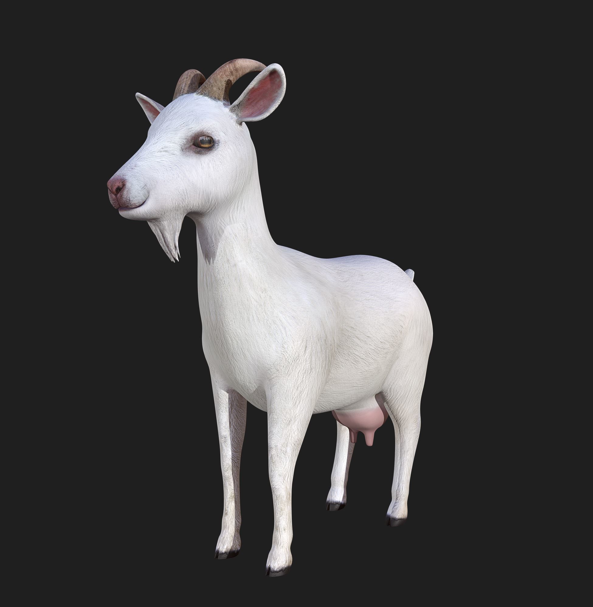 3D model 3D GOAT VR / AR / low-poly | CGTrader