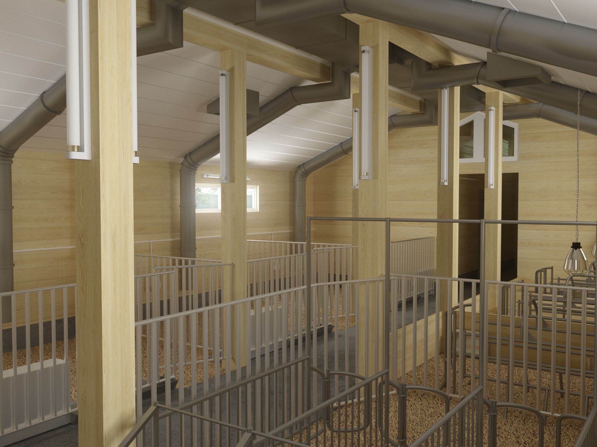 Pig farm 3D model | CGTrader
