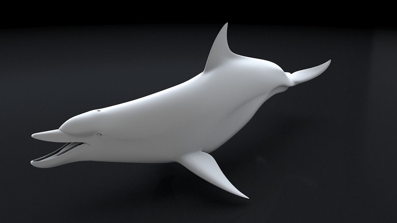 Bottlenose Dolphin 3D Printable Model 3D model 3D printable | CGTrader