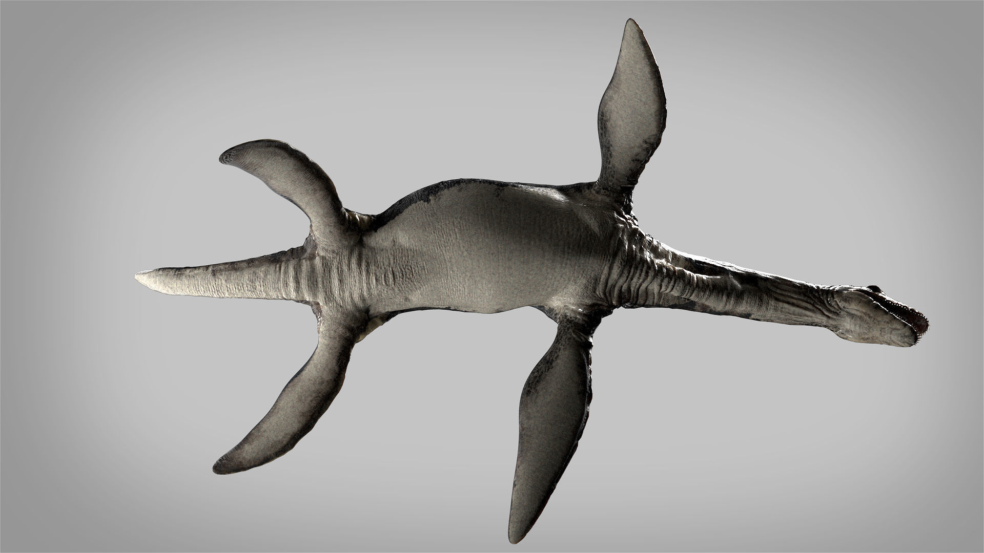 3D model Plesiosaurus 3D Rigged model VR / AR / low-poly | CGTrader
