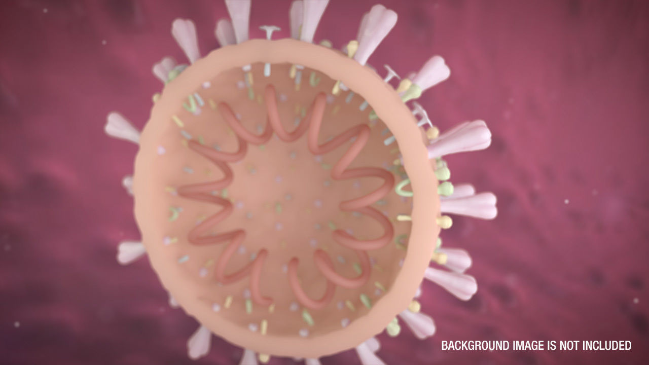 Sars Covid-19 in detail 3D model animated | CGTrader