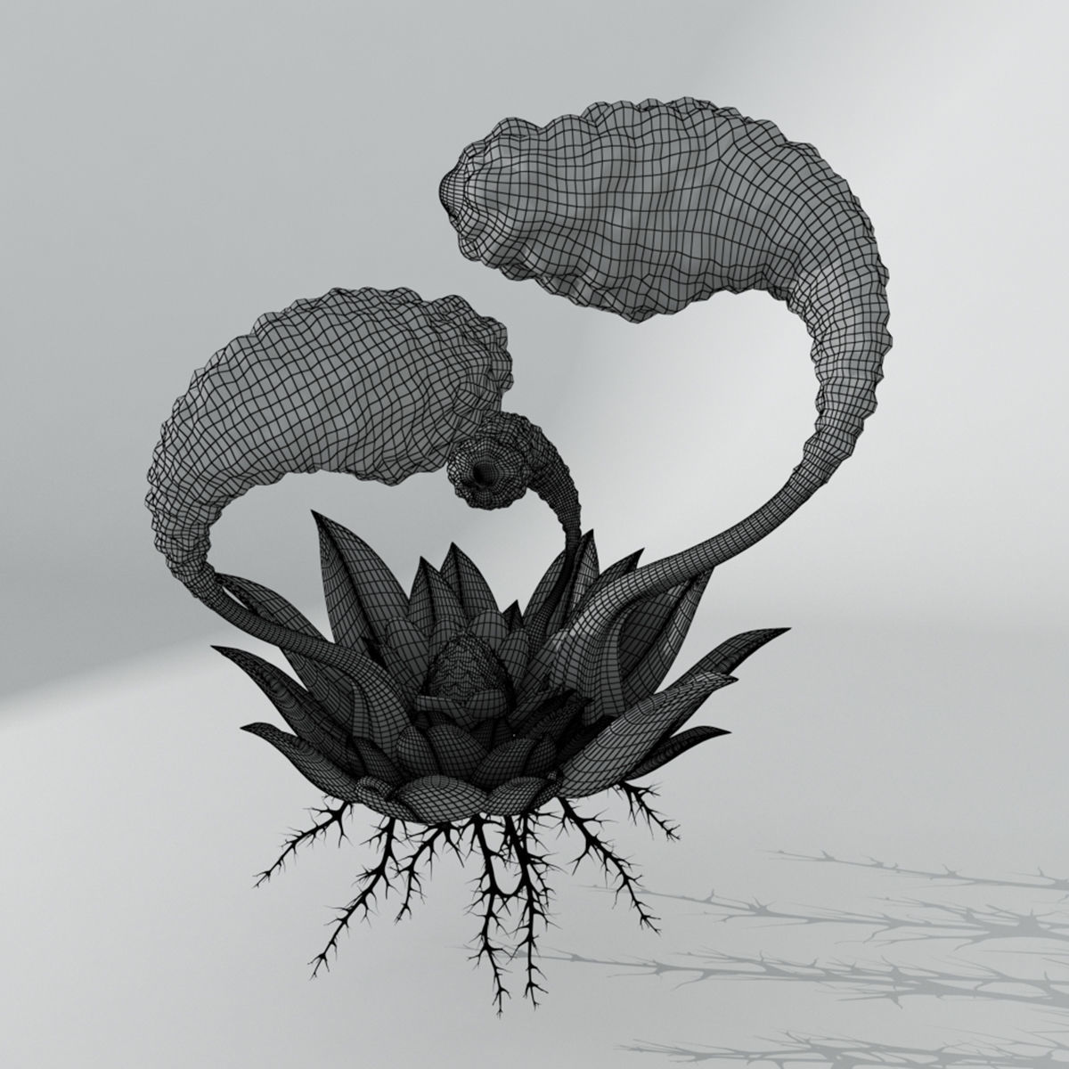 3D model Codex Seraphinianus Alien Imaginary Plant VR / AR / low-poly ...