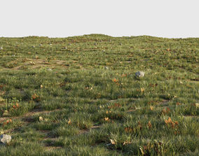 Grass field 3D Models | CGTrader