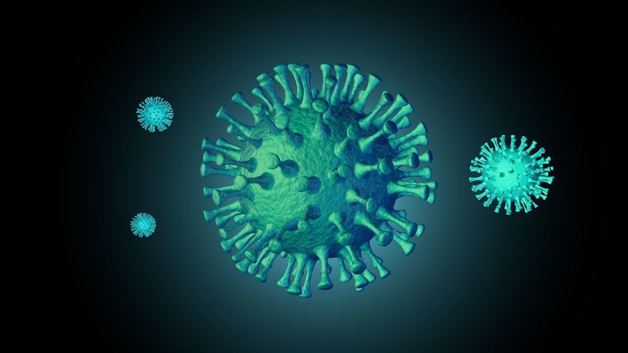 Corona Virus Animated 3D Models C4D china | CGTrader