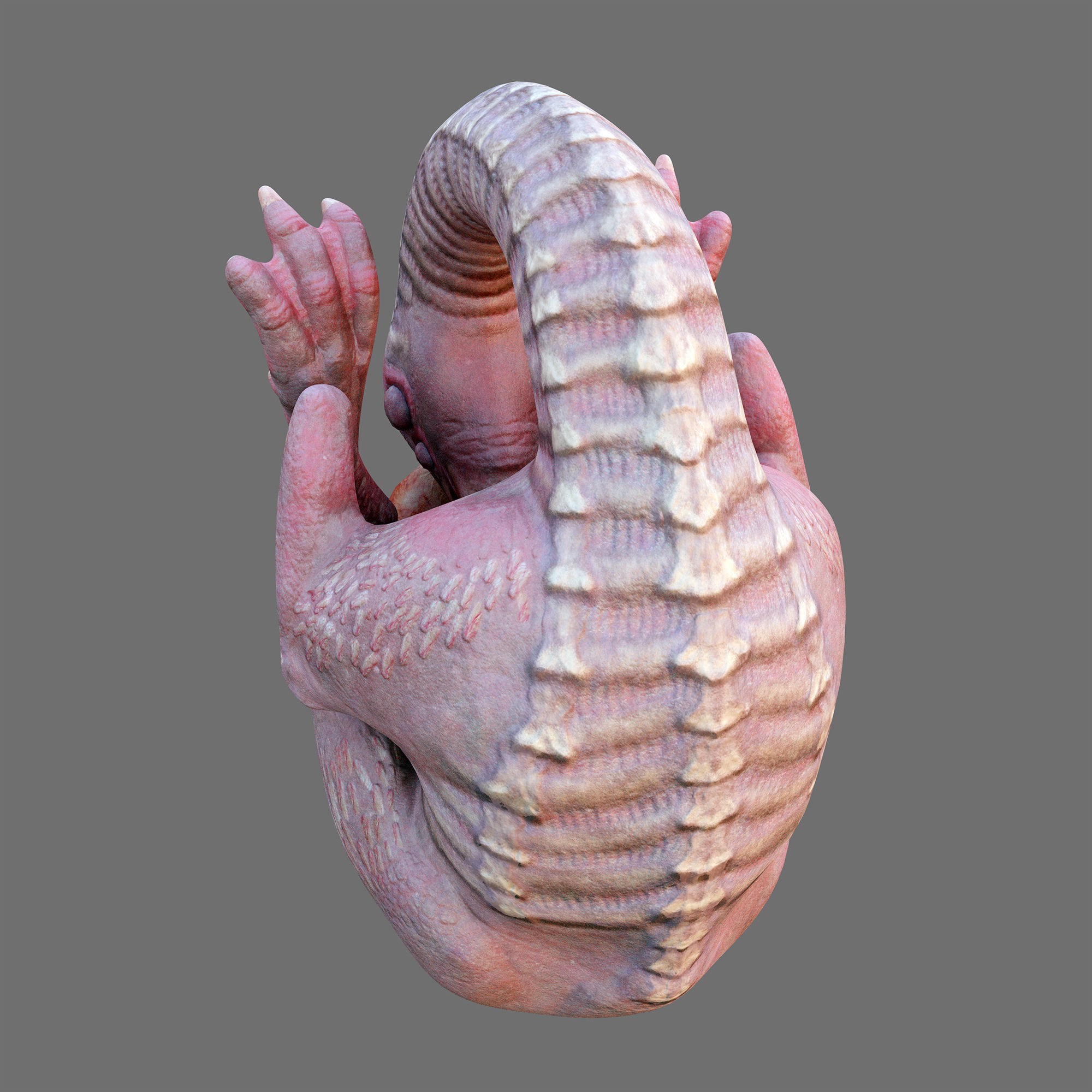 3D model Bird Monster Embryo VR / AR / low-poly | CGTrader