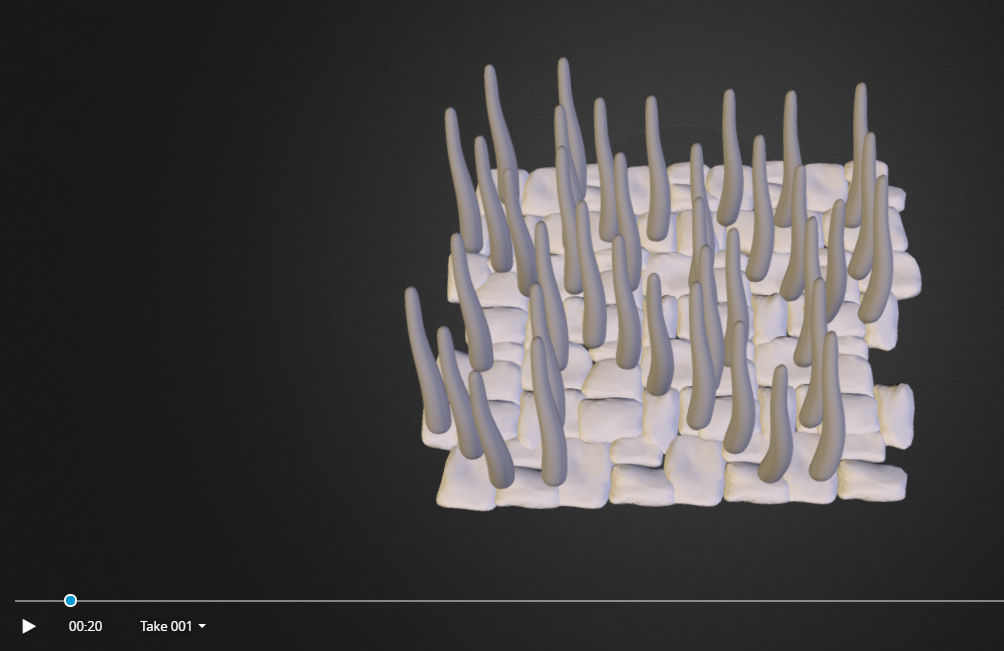 3D model Ciliated Epithelium VR / AR / low-poly animated | CGTrader