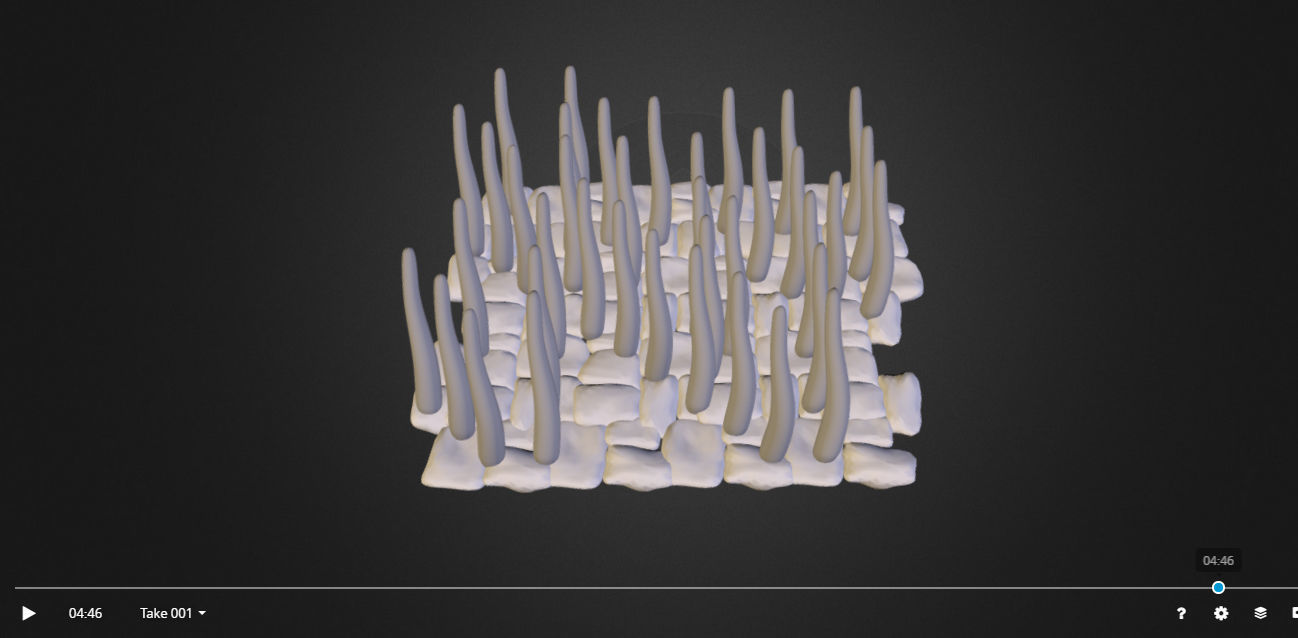 3D model Ciliated Epithelium VR / AR / low-poly animated | CGTrader