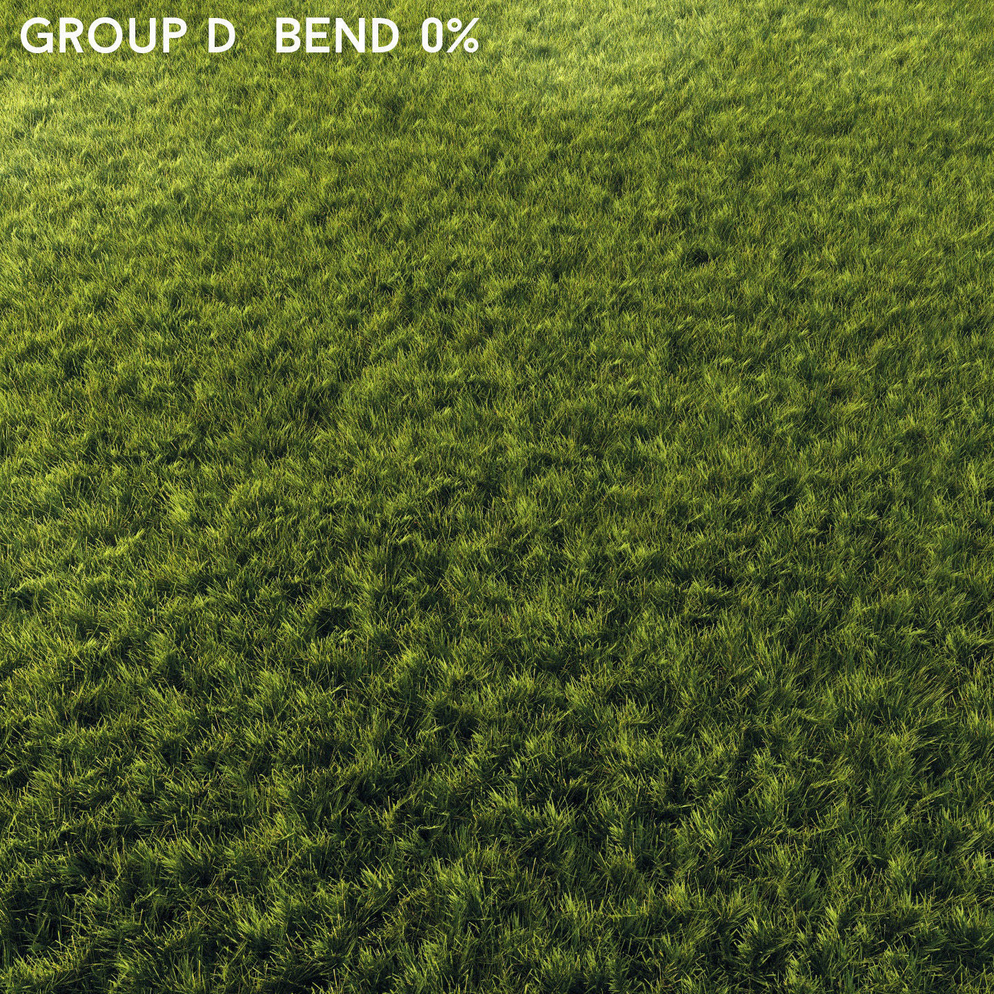 3D model Scanned real grass01 VR / AR / low-poly | CGTrader