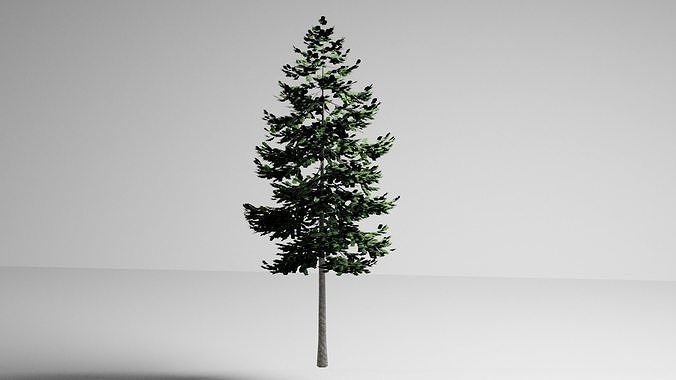 real tree free VR / AR / low-poly 3D model rigged | CGTrader
