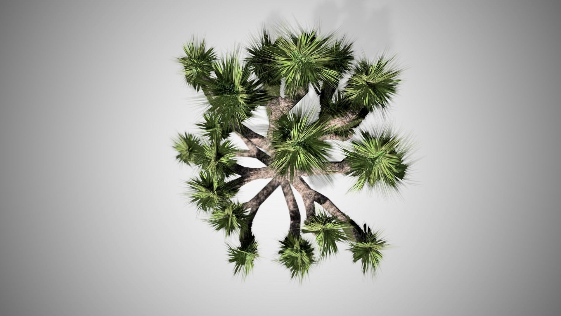 3D model Joshua Tree VR / AR / low-poly | CGTrader