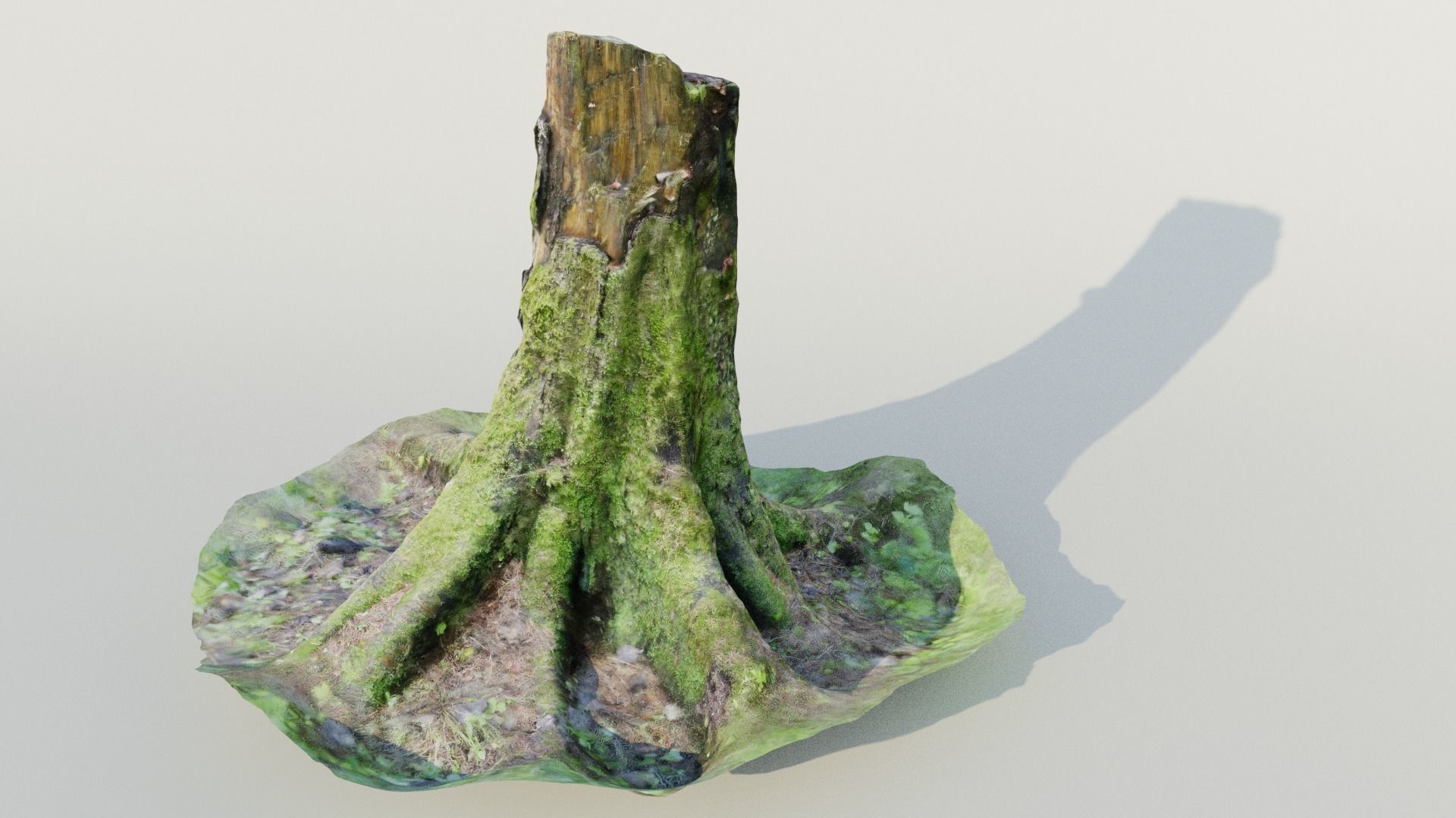 3D model Photoscanned Low Poly Trunk VR / AR / low-poly | CGTrader