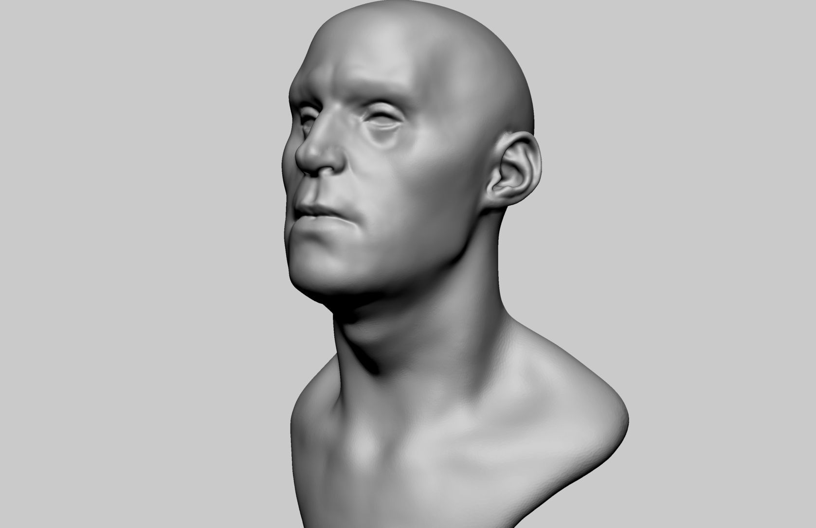 Head Models v2 3D model | CGTrader