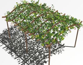 Vineyard 3D Models | CGTrader