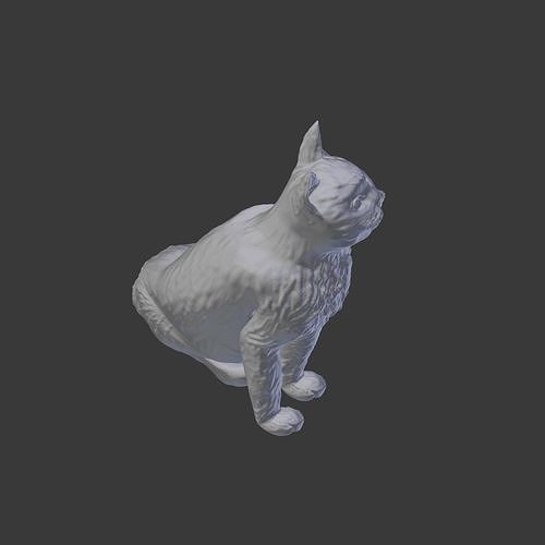 3D Cat Model Sculpt 3D model 3D printable | CGTrader