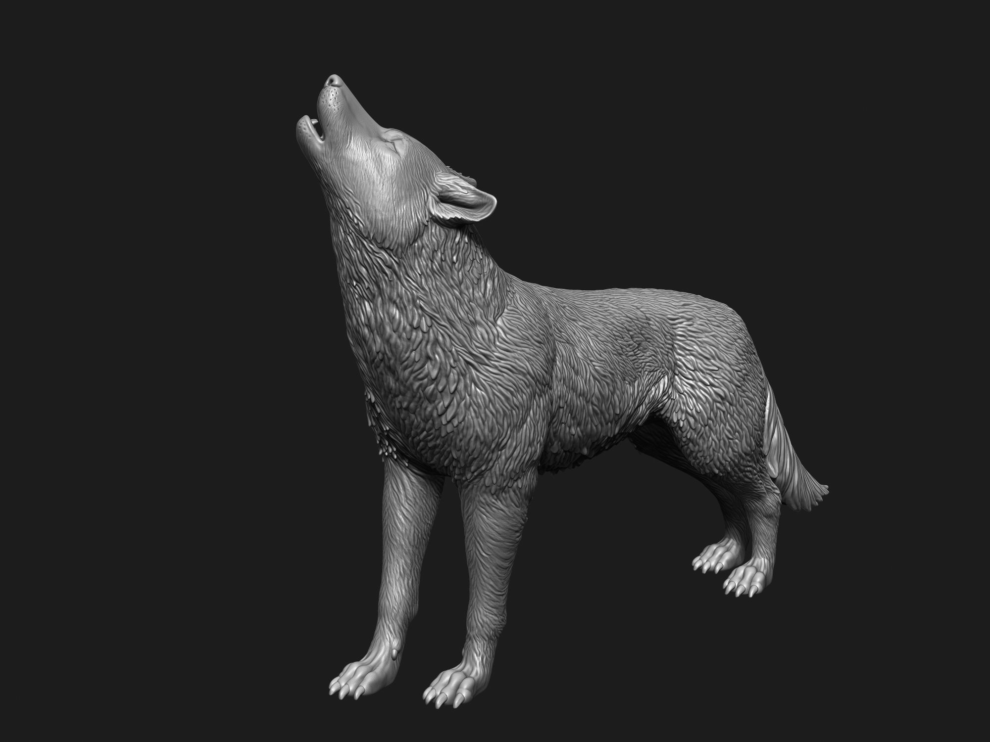 Howling Wolf 3D model 3D printable | CGTrader