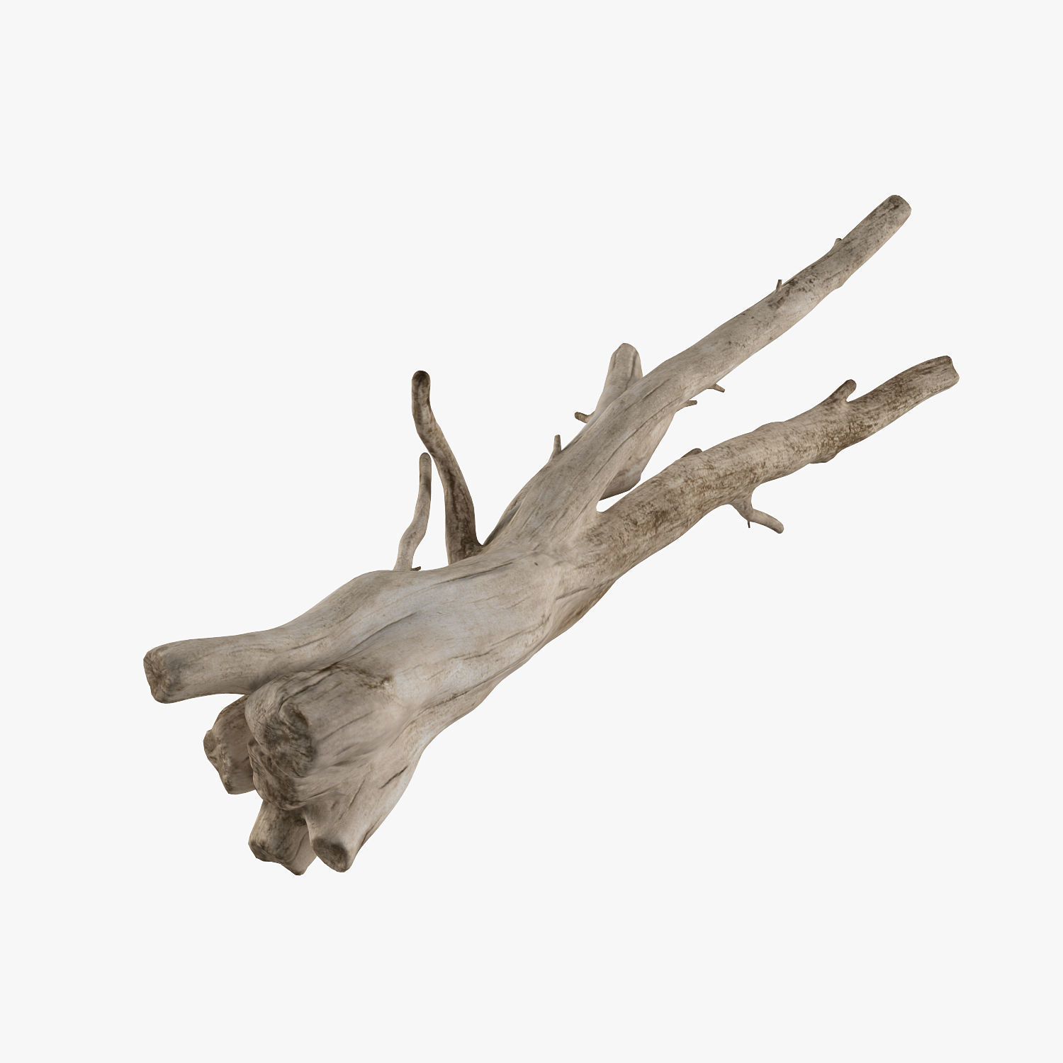 Snag branch 3D model | CGTrader